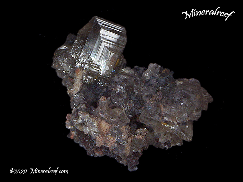 Cerusita | Mineralreef